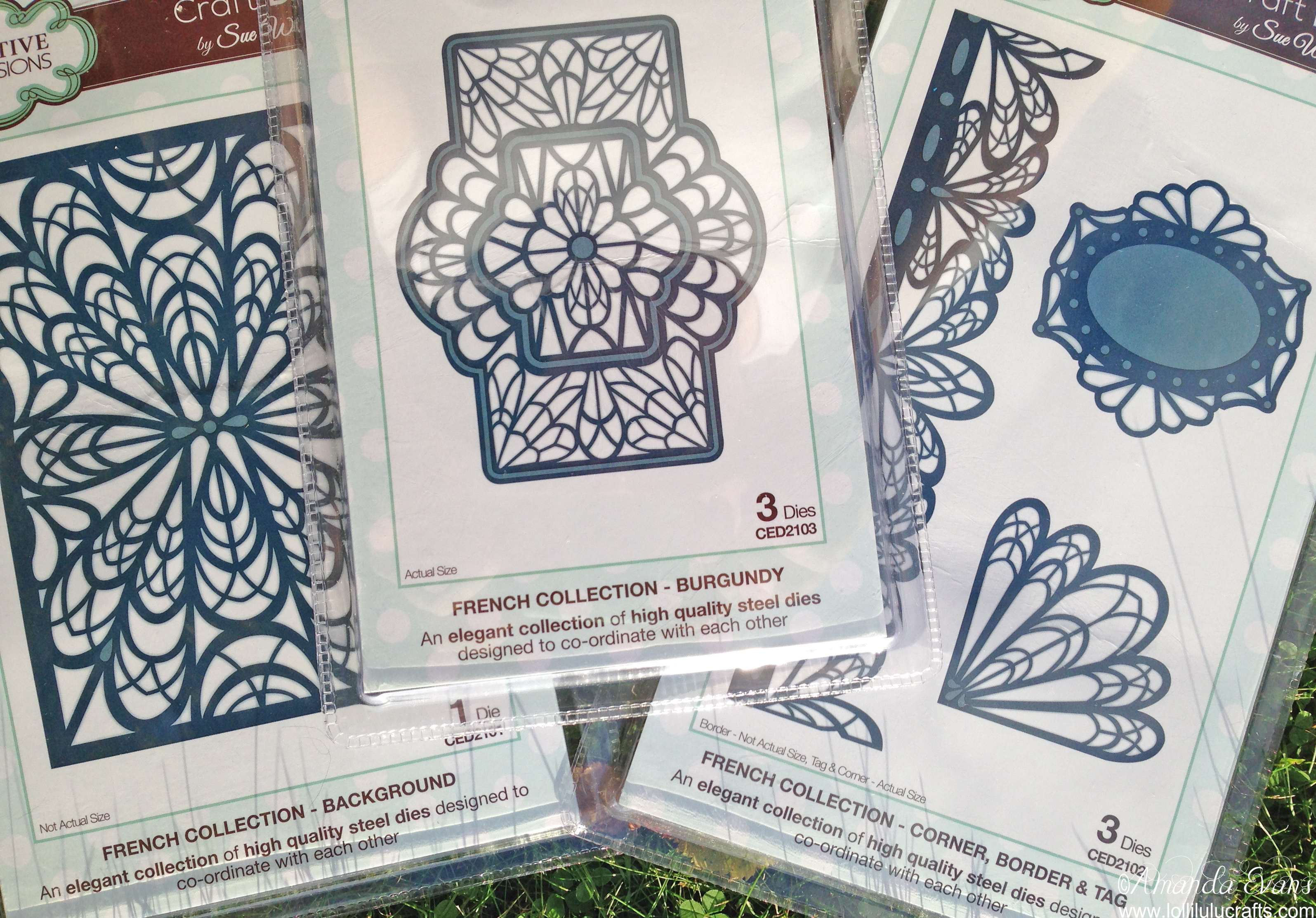 Sue Wilson French Acetate Card - Lolli Lulu Crafts